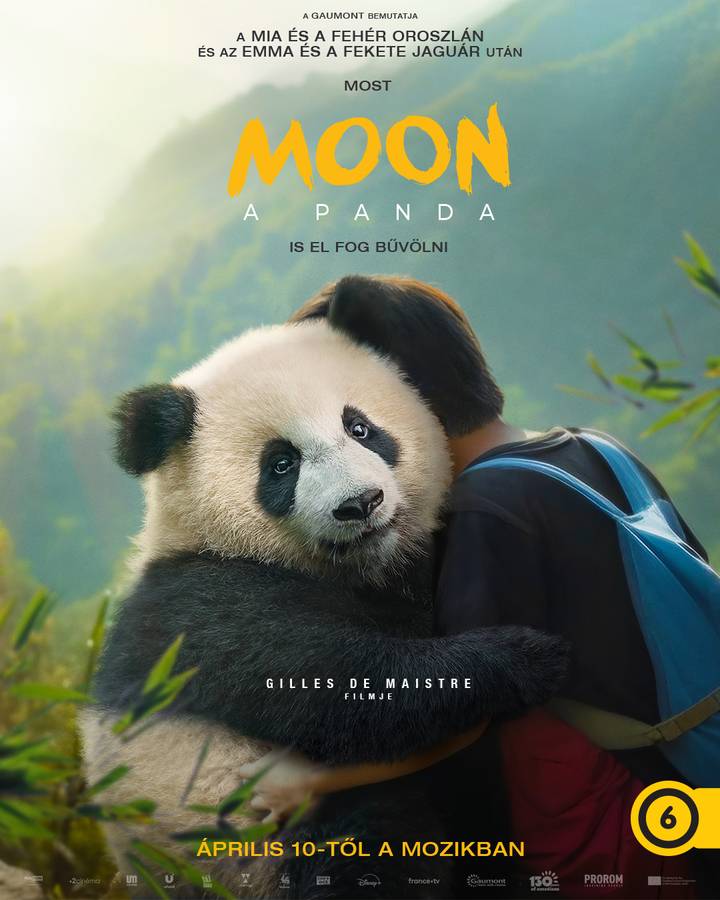 Moon a panda – A.N.D.R.Á.S Világa